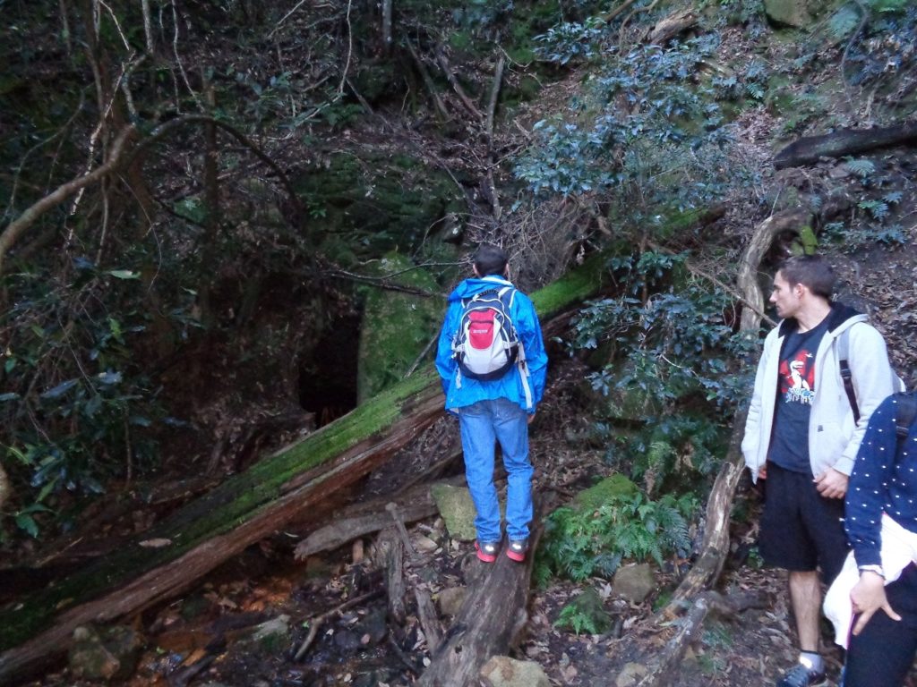 Echo Point – Ruined Castle – Golden Stairs | Sydney University Bushwalkers