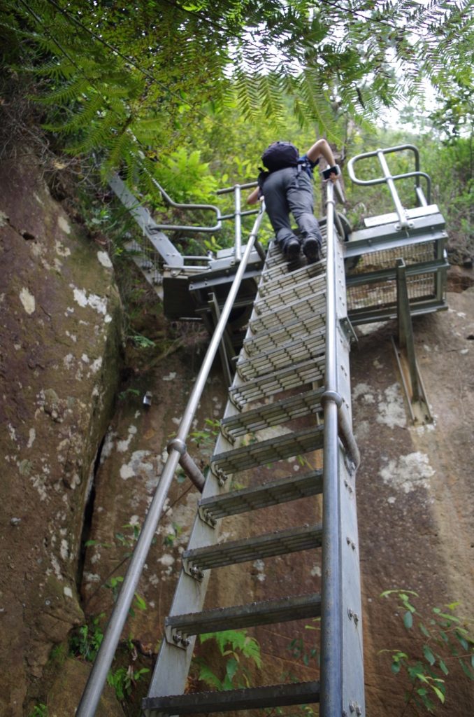 Wodi Wodi track – Forest Way – Sublime Point | Sydney University ...