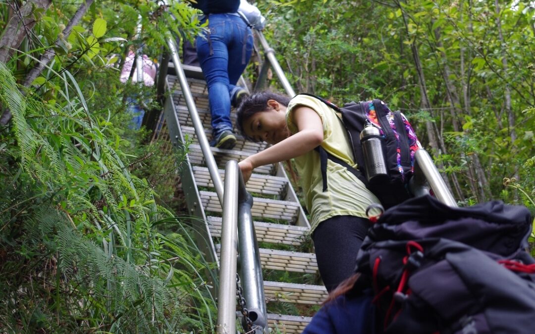 the-first-and-shortest-ladder-sublime-pt-track_22839413277_o | Sydney ...