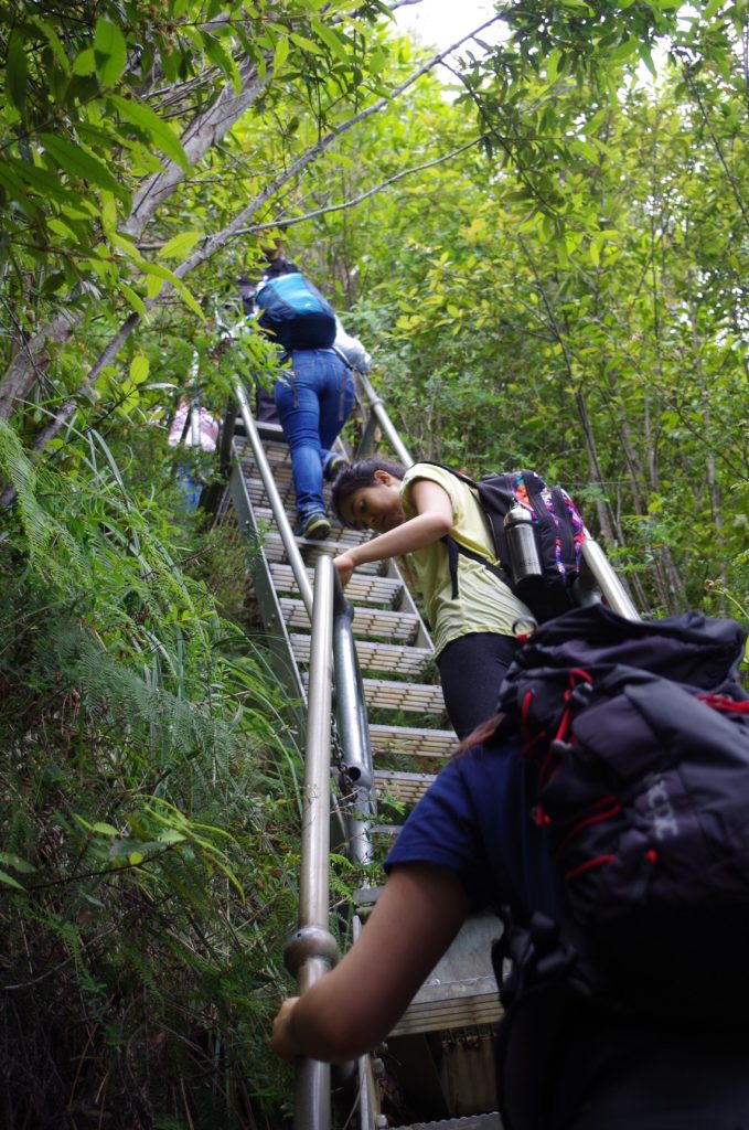 Wodi Wodi track – Forest Way – Sublime Point | Sydney University ...