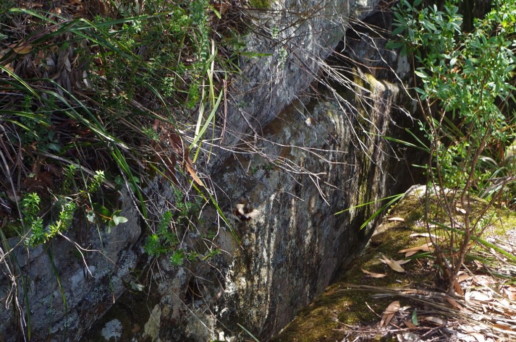 Stanwell Park via Metropolitan Tunnel and part of Wodi Wodi Track ...