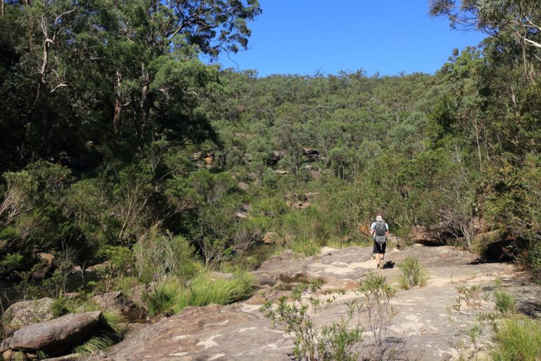 Glenbrook Creek and Gorge Walk | Sydney University Bushwalkers