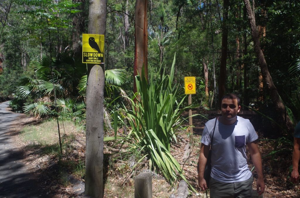 Umina-Patonga | Sydney University Bushwalkers