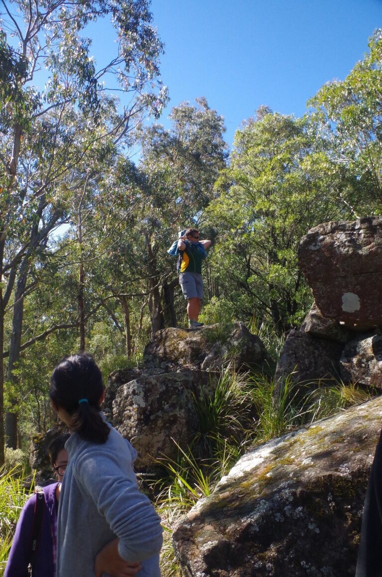 Mount Royal National Park | Sydney University Bushwalkers