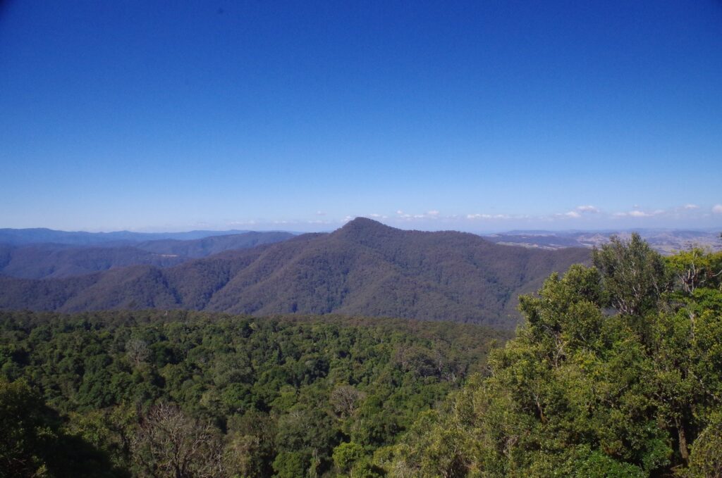 Mount Royal National Park | Sydney University Bushwalkers