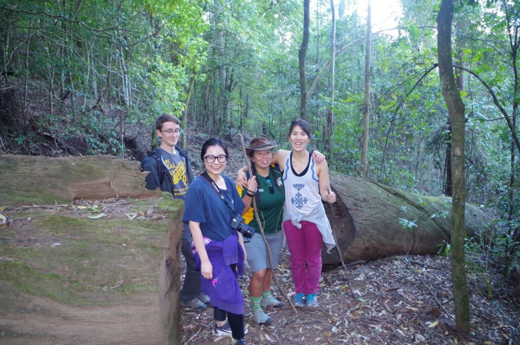Mount Royal National Park | Sydney University Bushwalkers