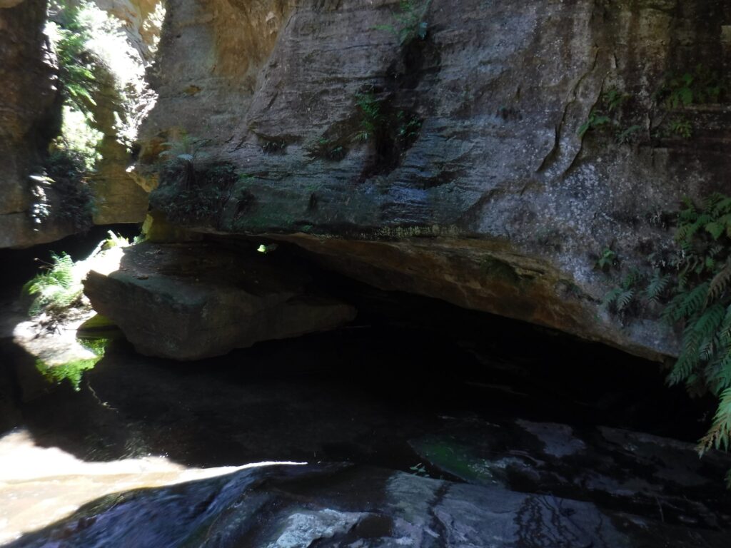Deep Pass Canyon & Caving | Sydney University Bushwalkers
