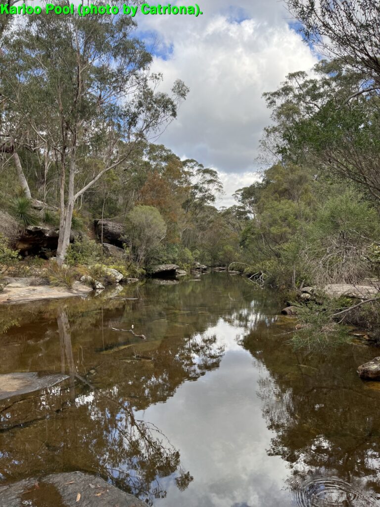 Royal National Park: Uloola Falls and Karloo Pool tracks, 28/8/2022 ...