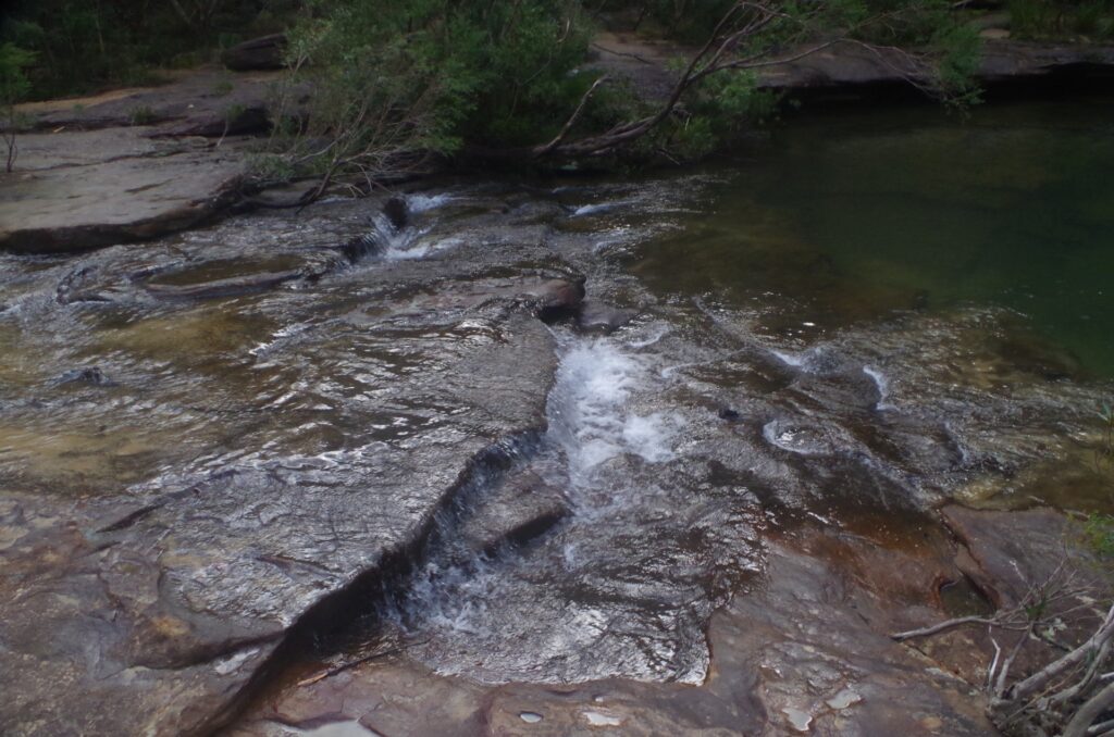 Royal National Park: Uloola Falls and Karloo Pool tracks, 28/8/2022 ...