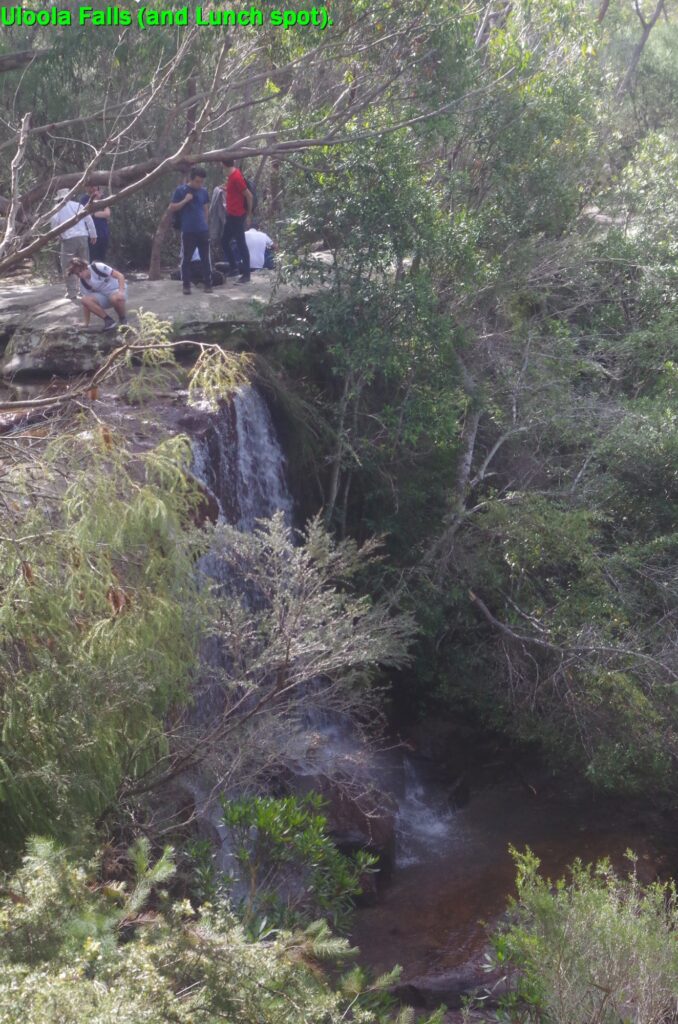 Royal National Park: Uloola Falls and Karloo Pool tracks, 28/8/2022 ...