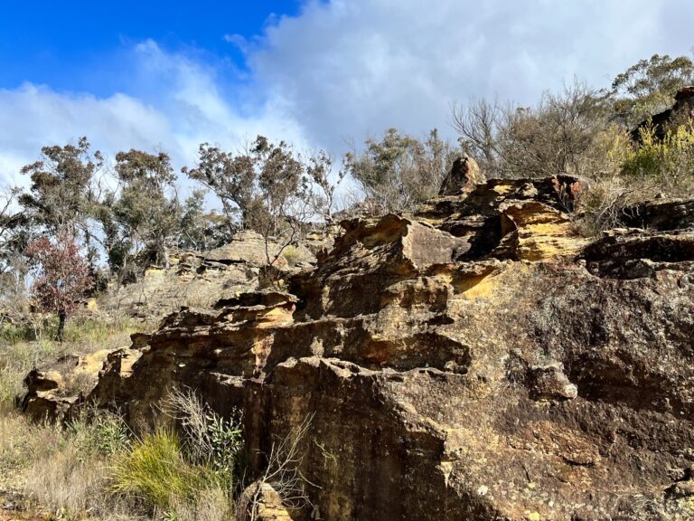 Dry Canyon Wollemi National Park | Sydney University Bushwalkers