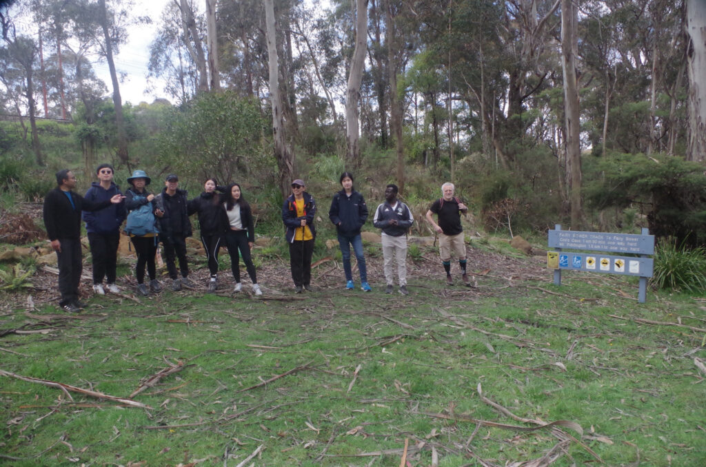 Mt Victoria-Mt Piddington-Fairy Bower- Pulpit Rock tracks | Sydney ...