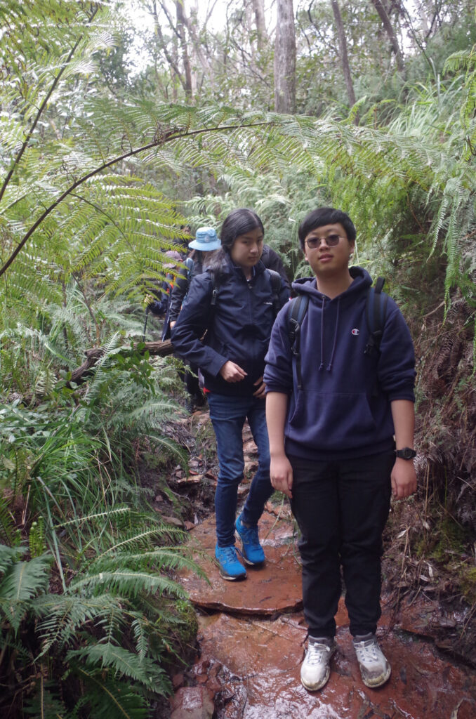 Mt Victoria-Mt Piddington-Fairy Bower- Pulpit Rock tracks | Sydney ...