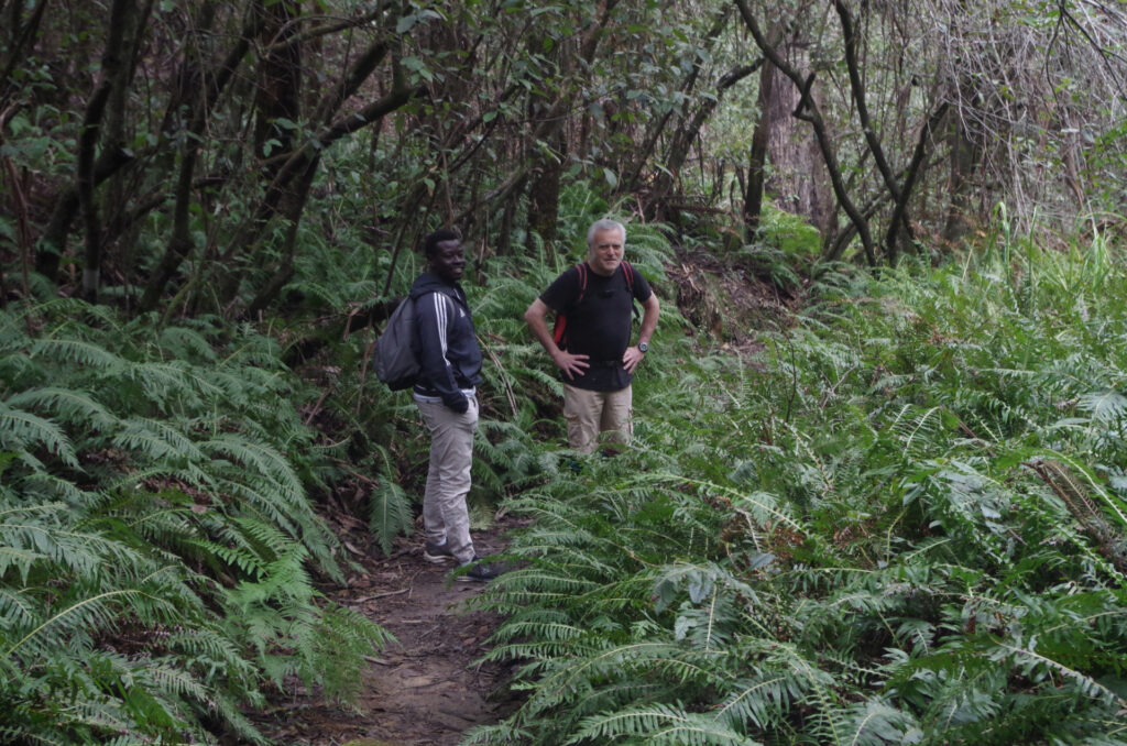 Mt Victoria-Mt Piddington-Fairy Bower- Pulpit Rock tracks | Sydney ...