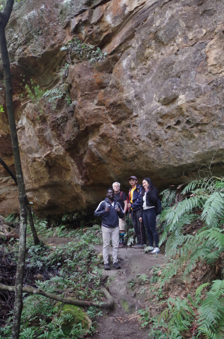 Mt Victoria-Mt Piddington-Fairy Bower- Pulpit Rock tracks | Sydney ...