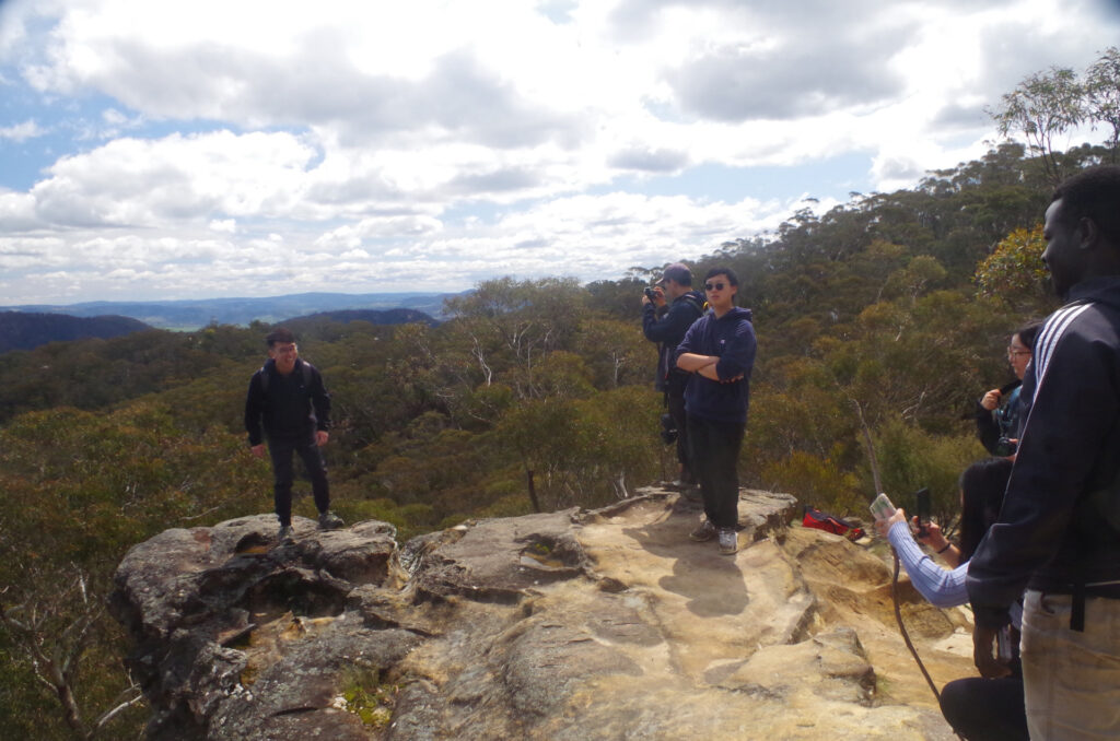 Mt Victoria-Mt Piddington-Fairy Bower- Pulpit Rock tracks | Sydney ...