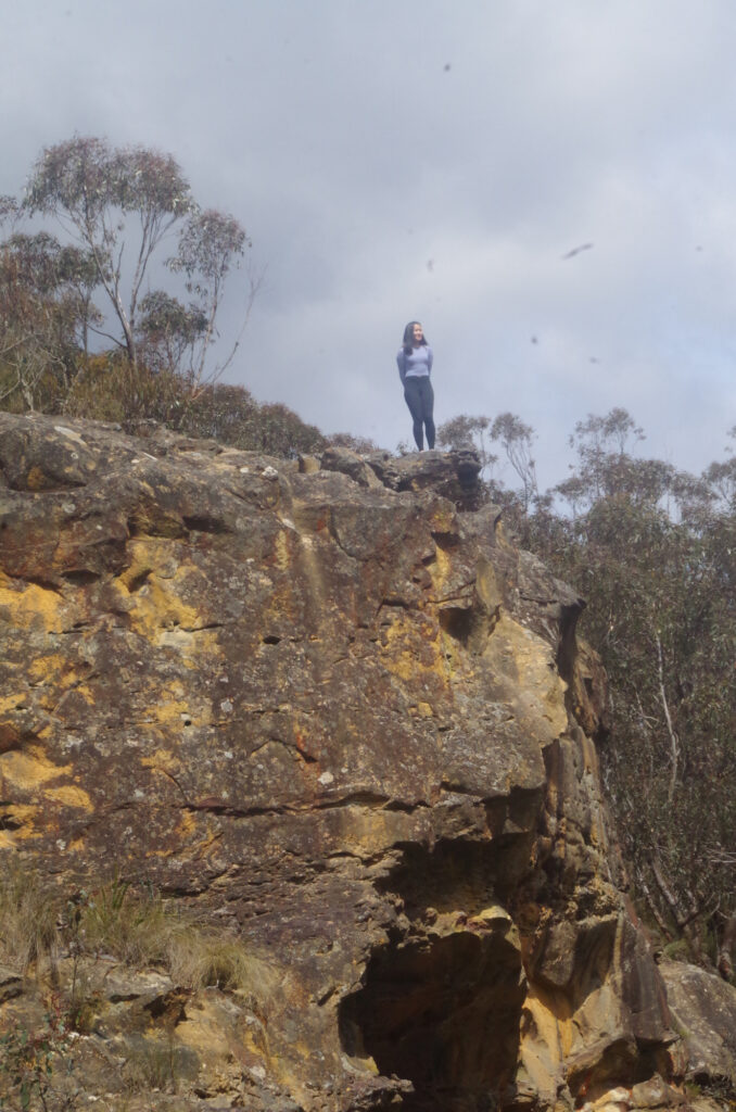 Mt Victoria-Mt Piddington-Fairy Bower- Pulpit Rock tracks | Sydney ...