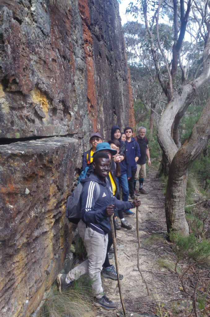Mt Victoria-Mt Piddington-Fairy Bower- Pulpit Rock tracks | Sydney ...