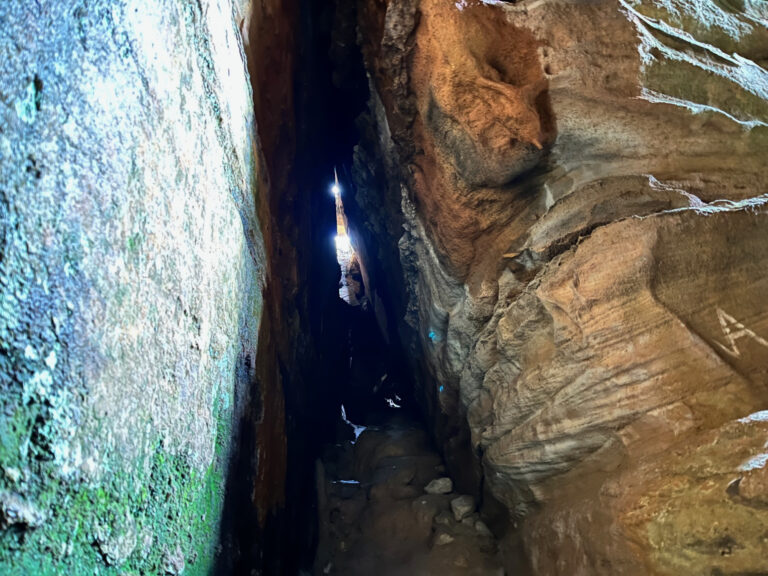 Mt Victoria-Mt Piddington-Fairy Bower- Pulpit Rock tracks | Sydney ...