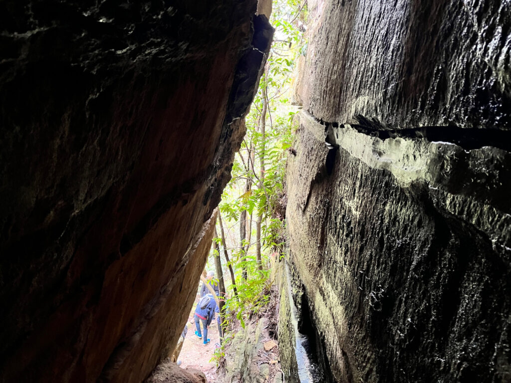 Mt Victoria-Mt Piddington-Fairy Bower- Pulpit Rock tracks | Sydney ...