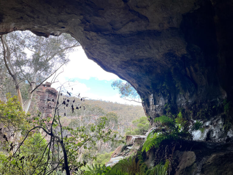 Mt Victoria-Mt Piddington-Fairy Bower- Pulpit Rock tracks | Sydney ...