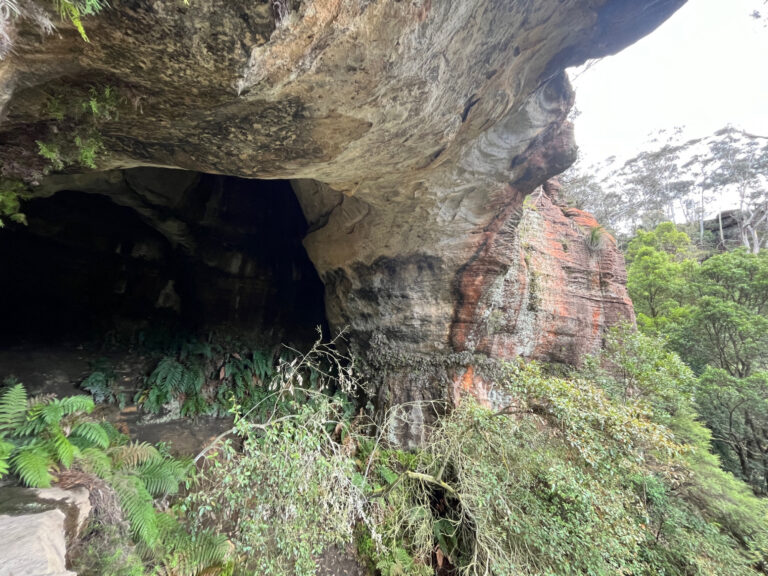 Mt Victoria-Mt Piddington-Fairy Bower- Pulpit Rock tracks | Sydney ...