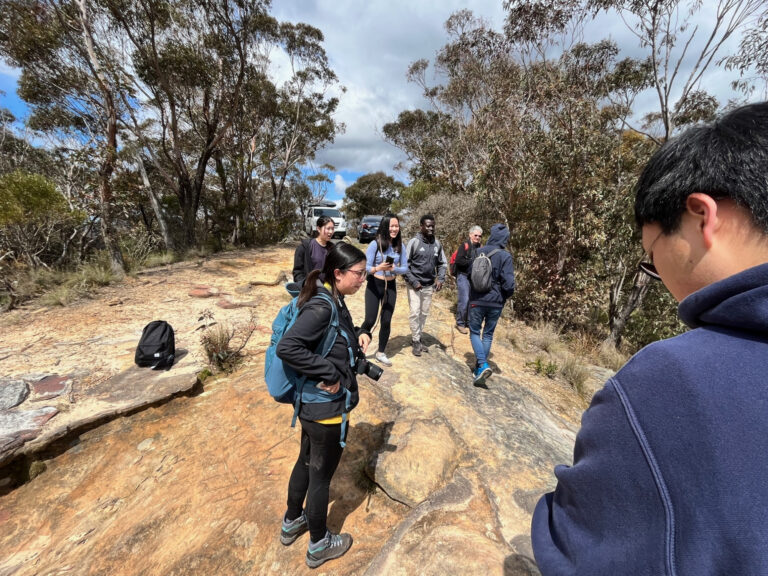 Mt Victoria-Mt Piddington-Fairy Bower- Pulpit Rock tracks | Sydney ...
