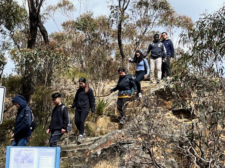 Mt Victoria-Mt Piddington-Fairy Bower- Pulpit Rock tracks | Sydney ...