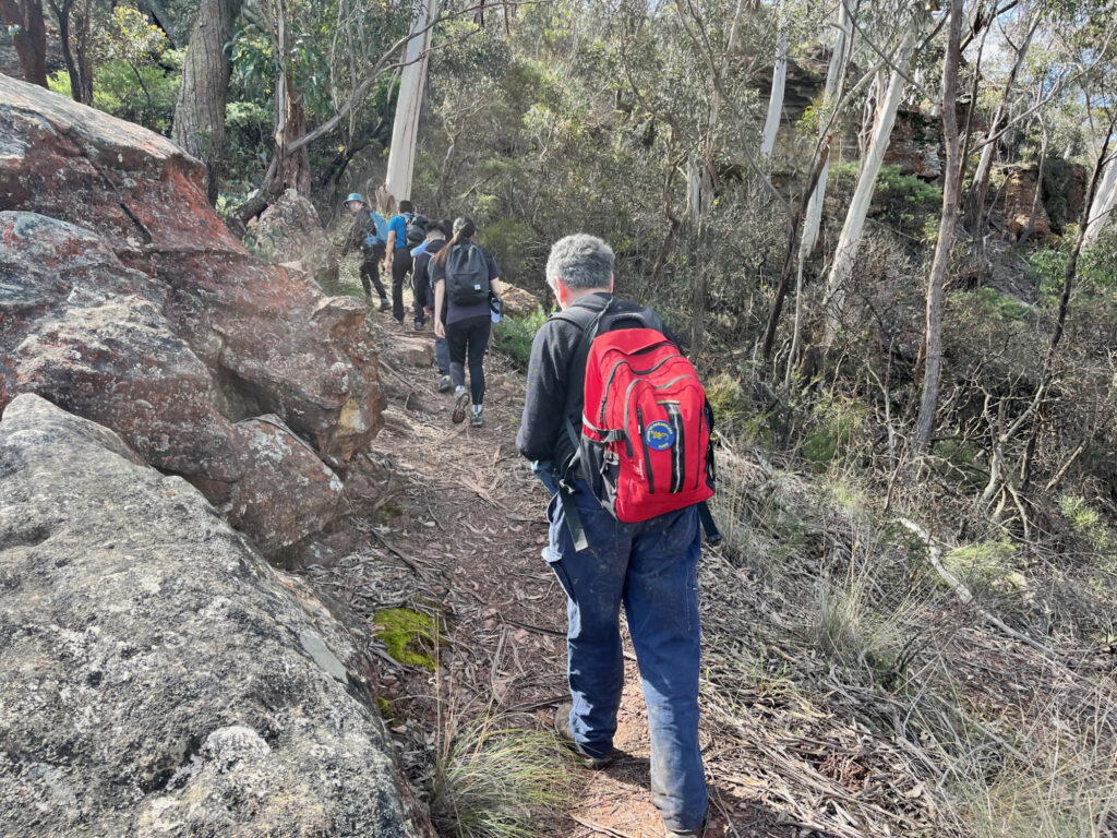 Mt Victoria-Mt Piddington-Fairy Bower- Pulpit Rock tracks | Sydney ...